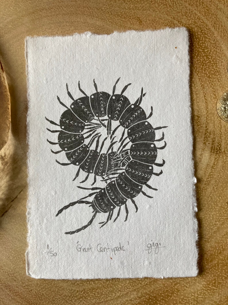 Giant Centipede Linocut Print: Handmade Paper, 4x6 Bug Wall Decor - Etsy