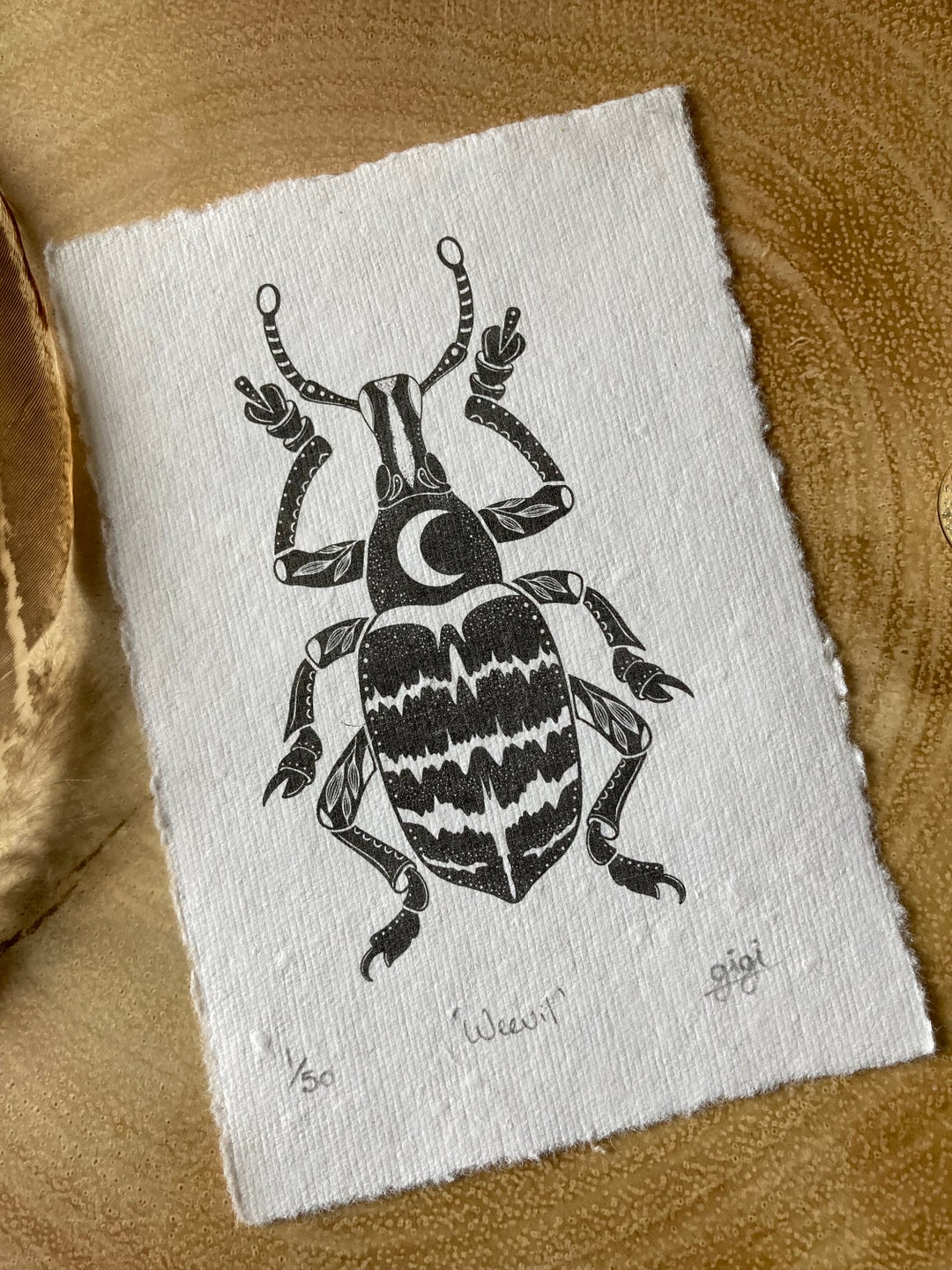 Limited Edition Weevil Beetle Art Print: Handmade Cotton Paper, Signed ...