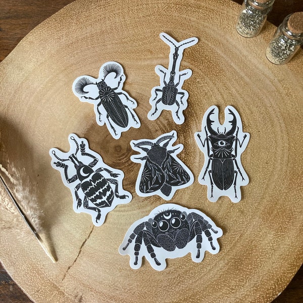 Insect Wall Stickers - Etsy UK