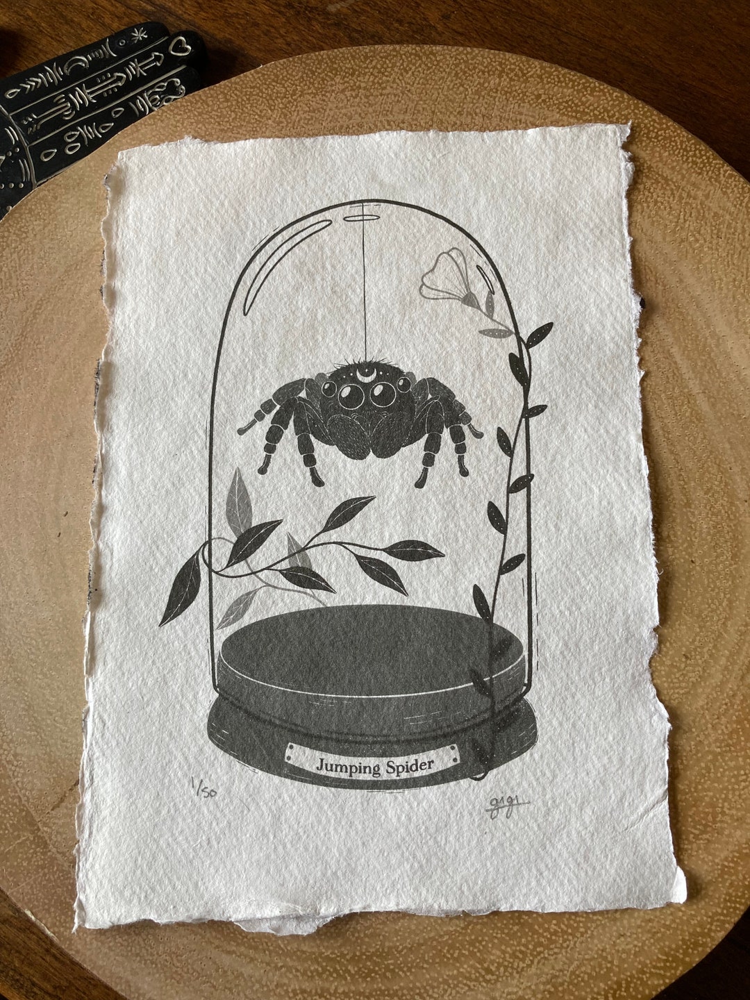 Limited Edition Jumping Spider Print, Linocut Style Original Insect Art ...