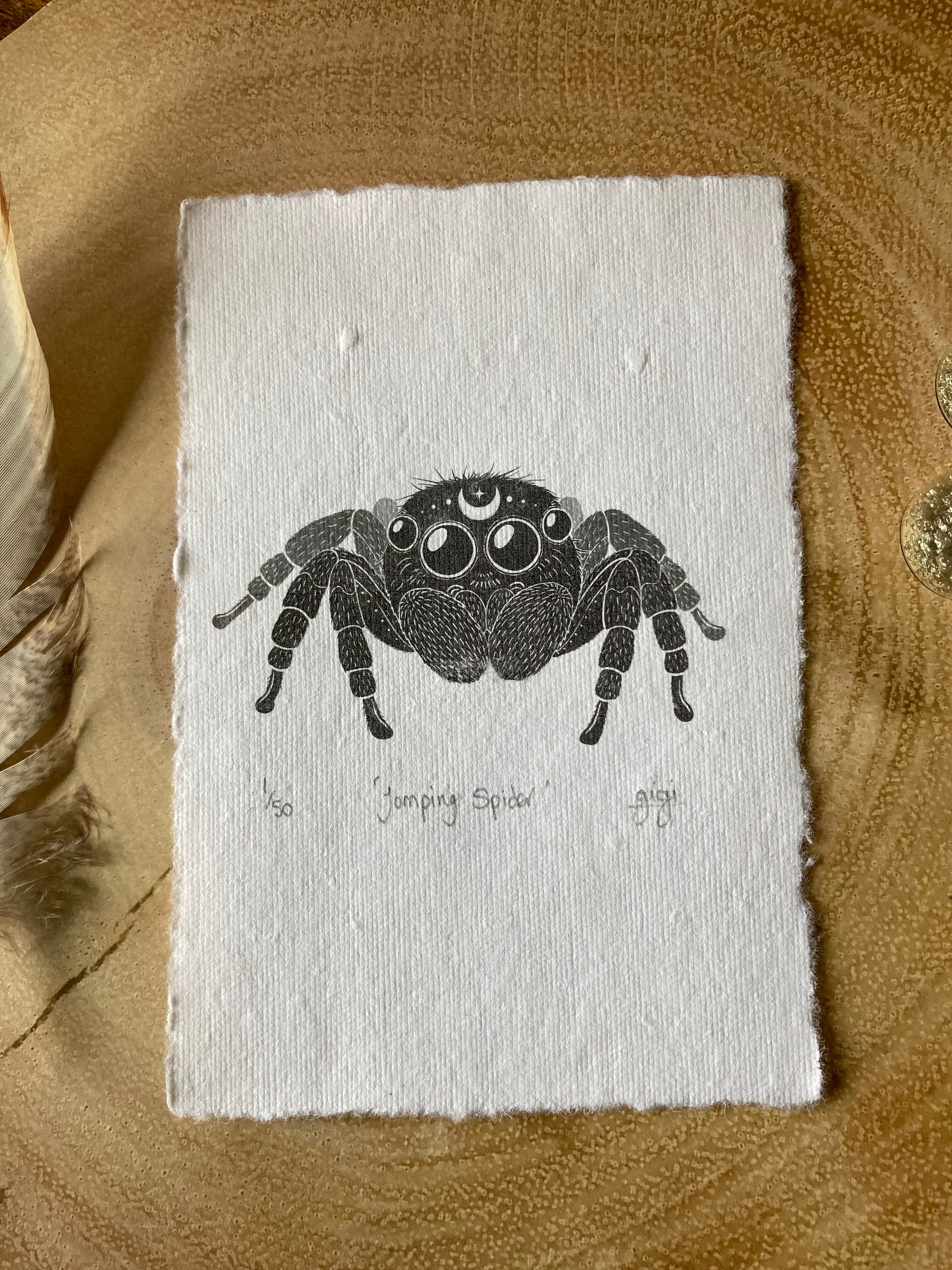 Limited Edition Jumping Spider Linocut Art Print: Entomology Mini Print ...
