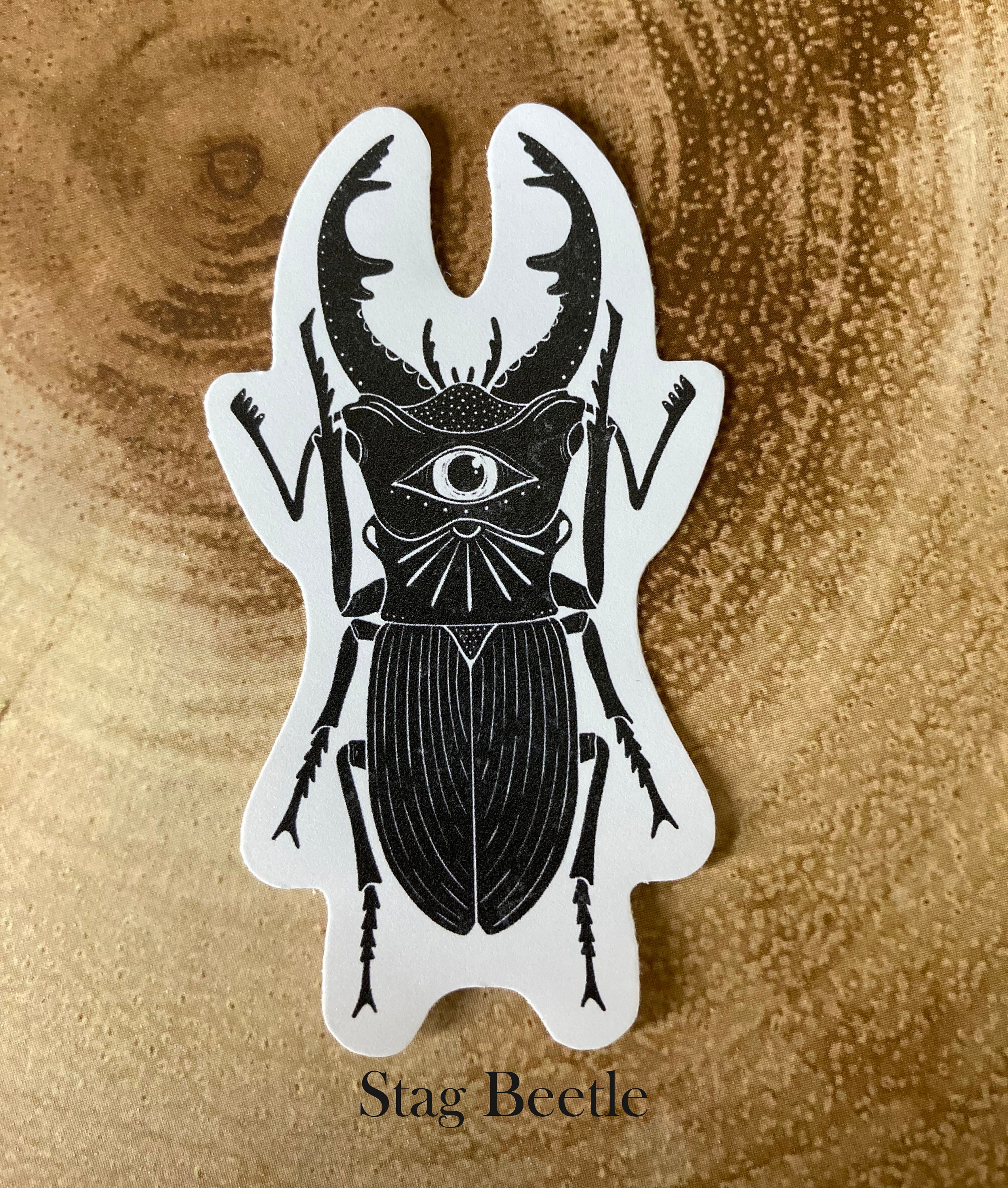 Entomology Vinyl Stickers: Jumping Spider, Moth, Beetle - Handdrawn ...