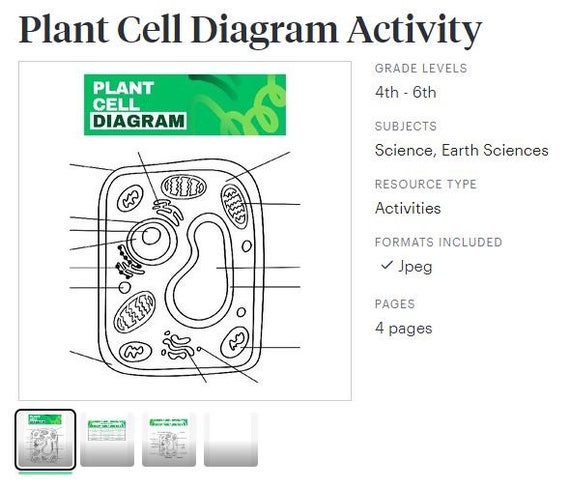 Plant Cell Diagram Worksheet