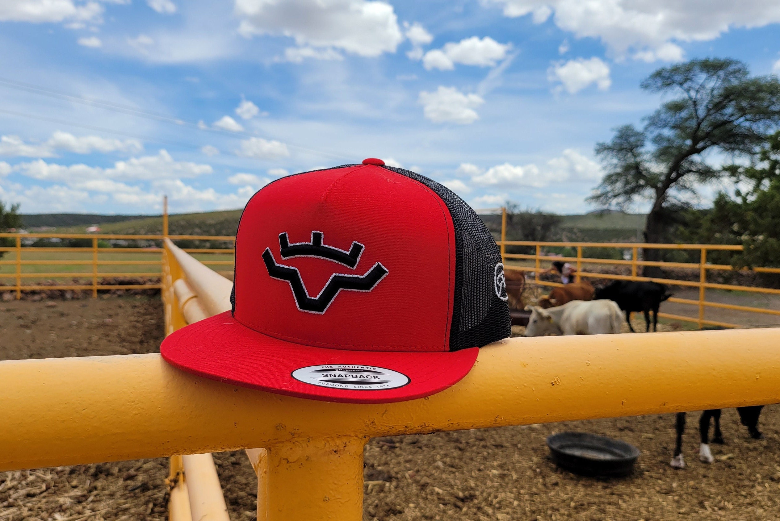 Vida De Rancho | Ganadero | Charro | Palenque | Jaripeo | Charreada ...