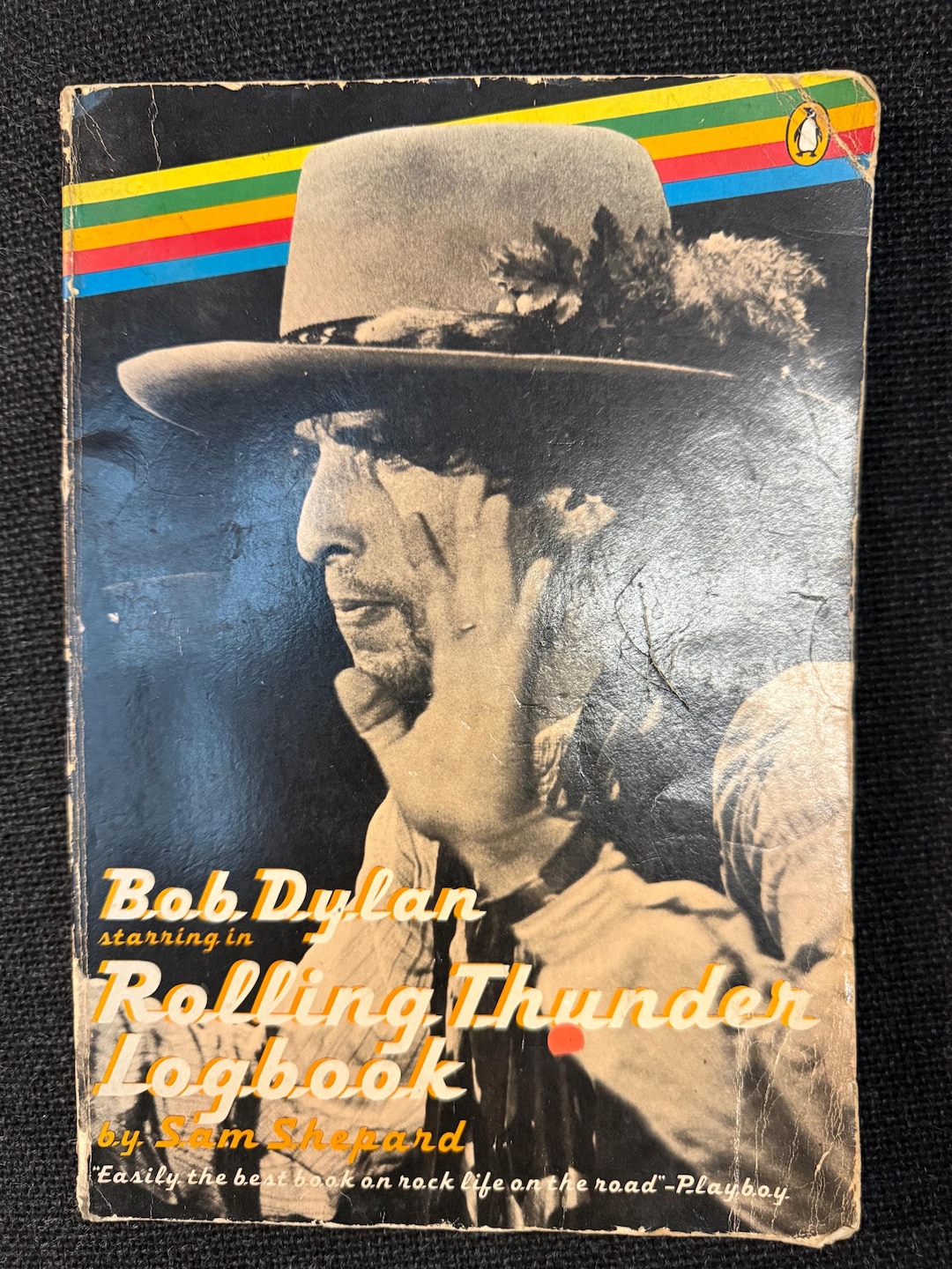 BOB DYLAN Starring in ROLLING Thunder Logbook. Sam Shephard Biography ...