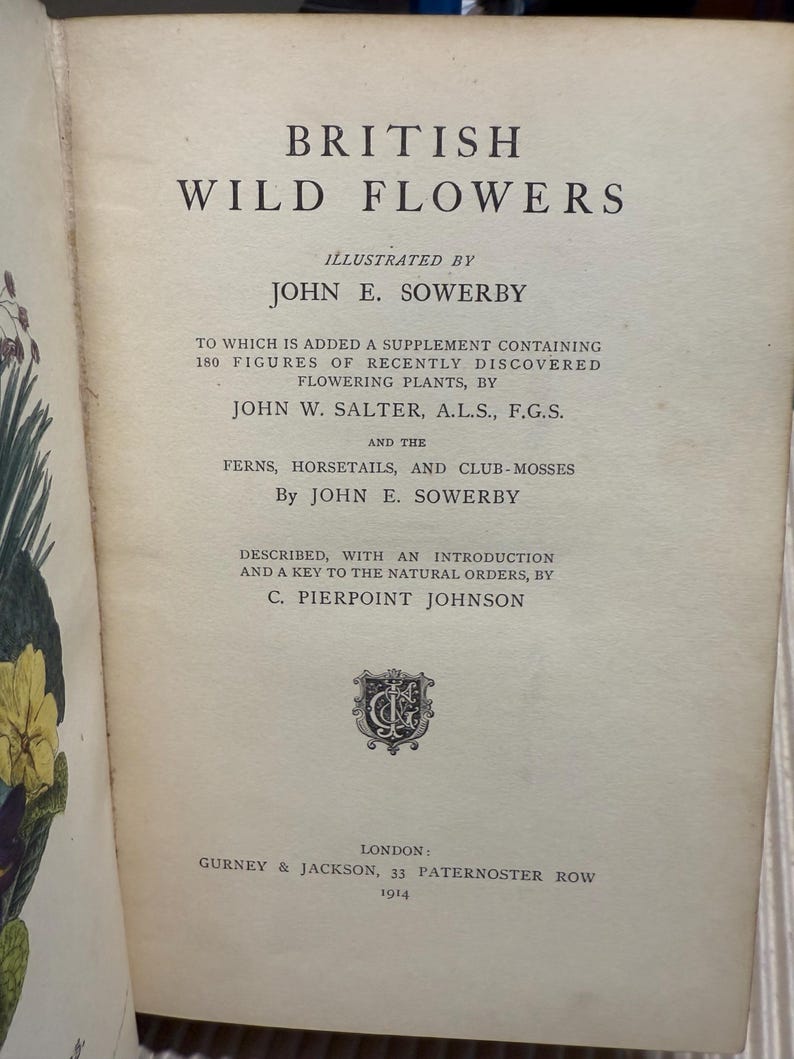 BRITISH WILD FLOWERS. J.E. Sowerby & C.p.johnson. 1914. Rare Copy - Etsy