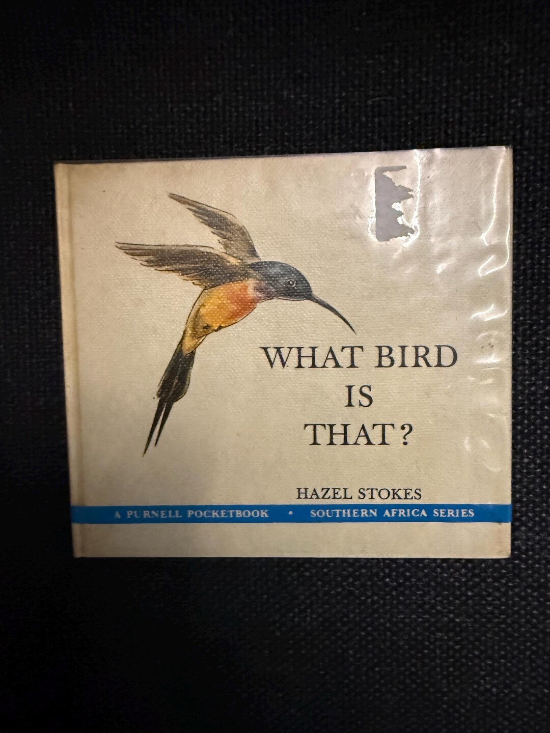 What Bird is That? Hazel Stokes. A Parnell Pocketbook. Southern African ...