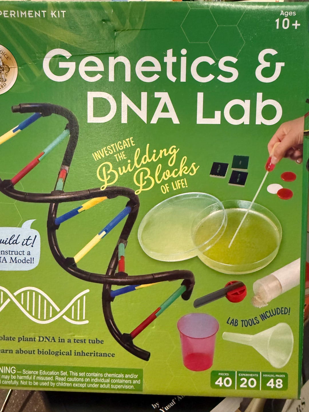Genetics & DNA Lab . Construct a DNA Model.ages 10+ - Etsy