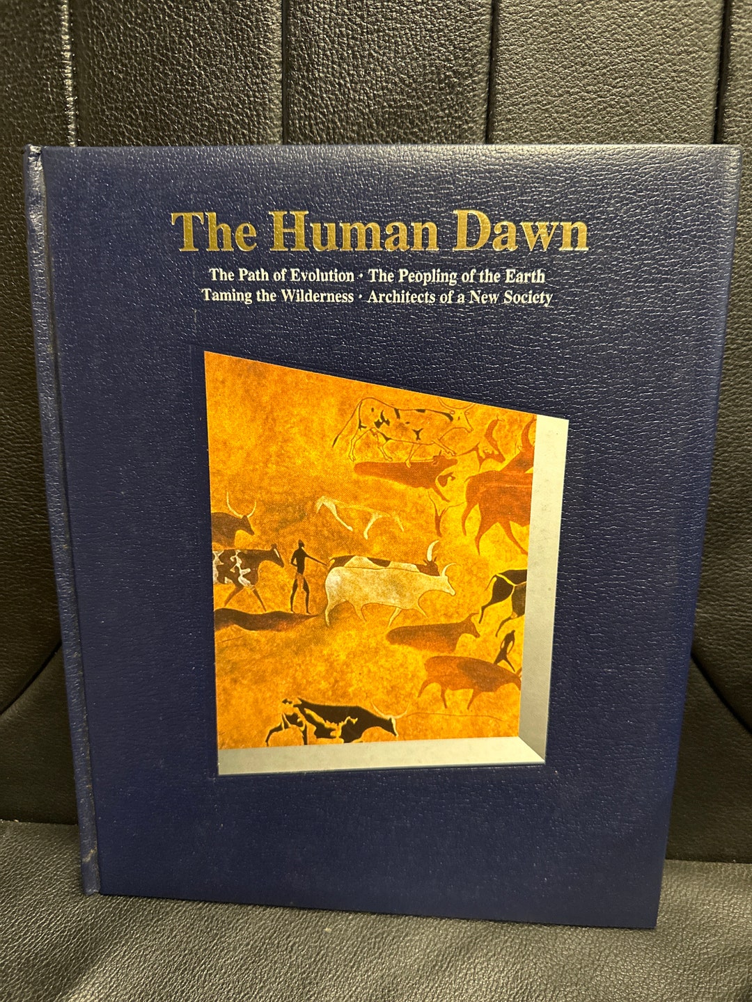 The Human Dawn- Time -life Books.( Looking at Early Evolution ) - Etsy
