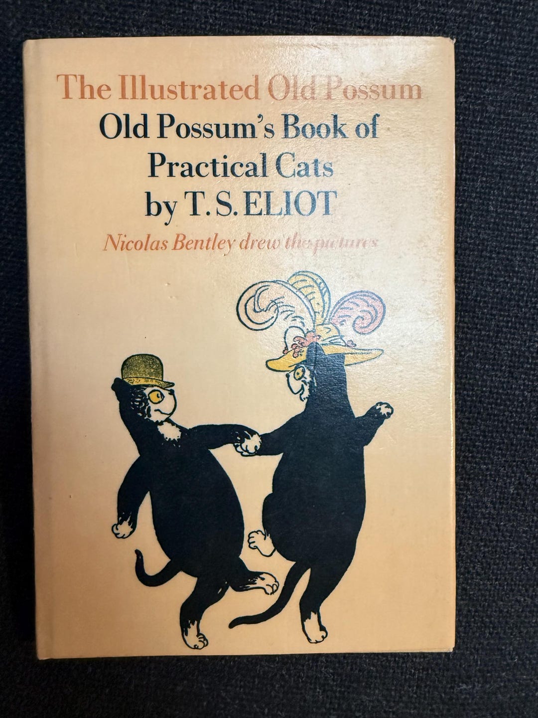 The Illustrated Old Possum. Old Possum’s Book of Cats by T S Eliot ...