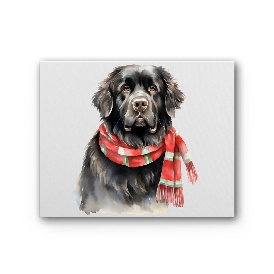 Newfoundland Dog Premium Stretched Canvas, Gift for Newfoundland Dog ...