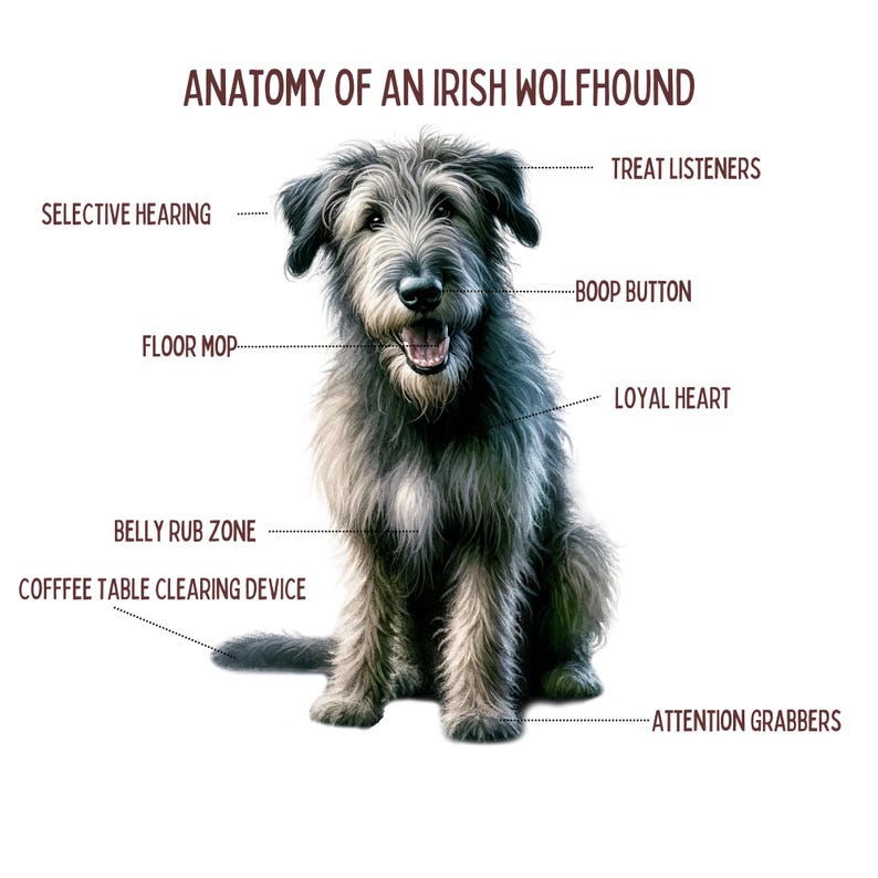 Anatomy of an Irish Wolfhound Funny Mug, Perfect Gift for Irish ...