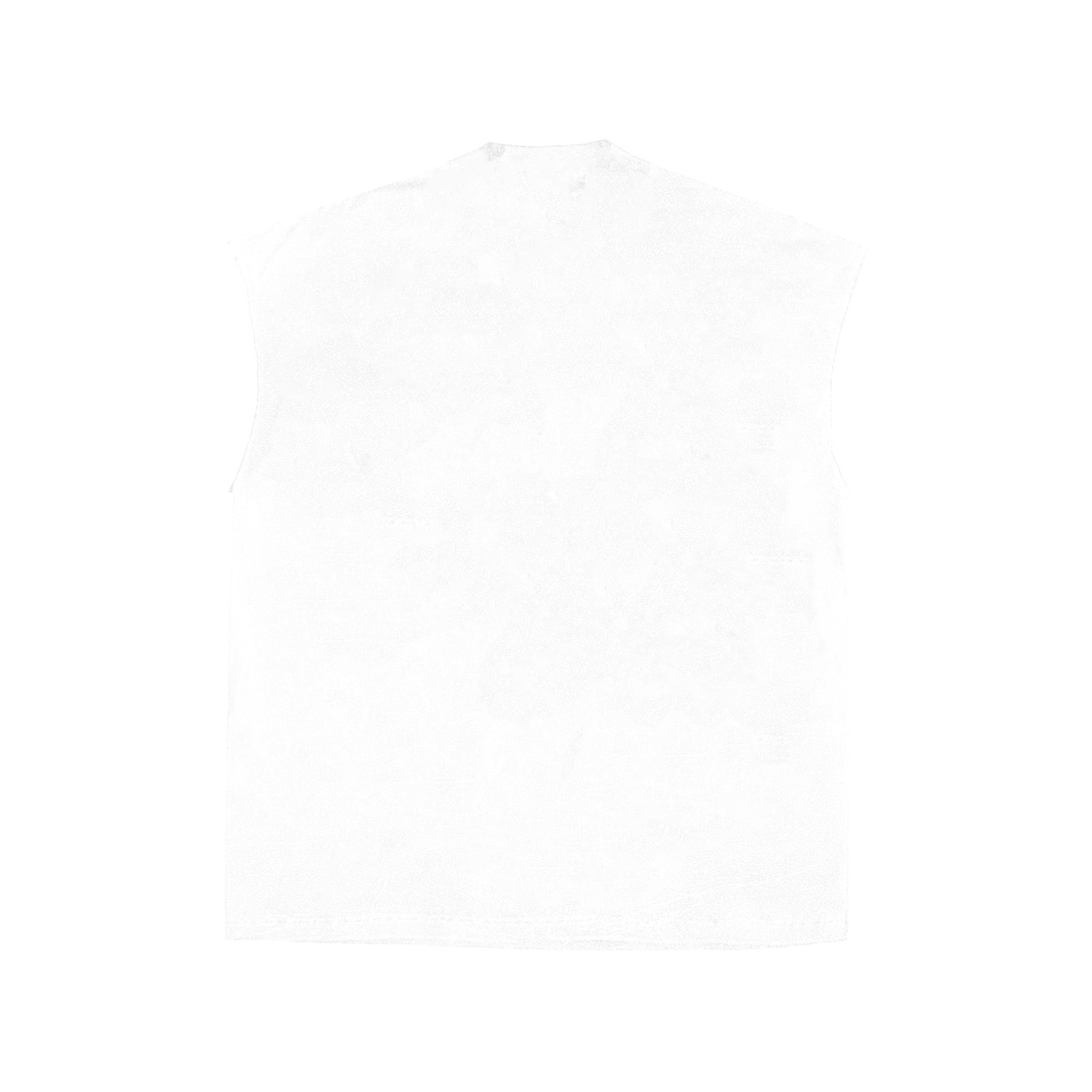 Blank Sleeveless Tee Mock-ups Bundle - Etsy