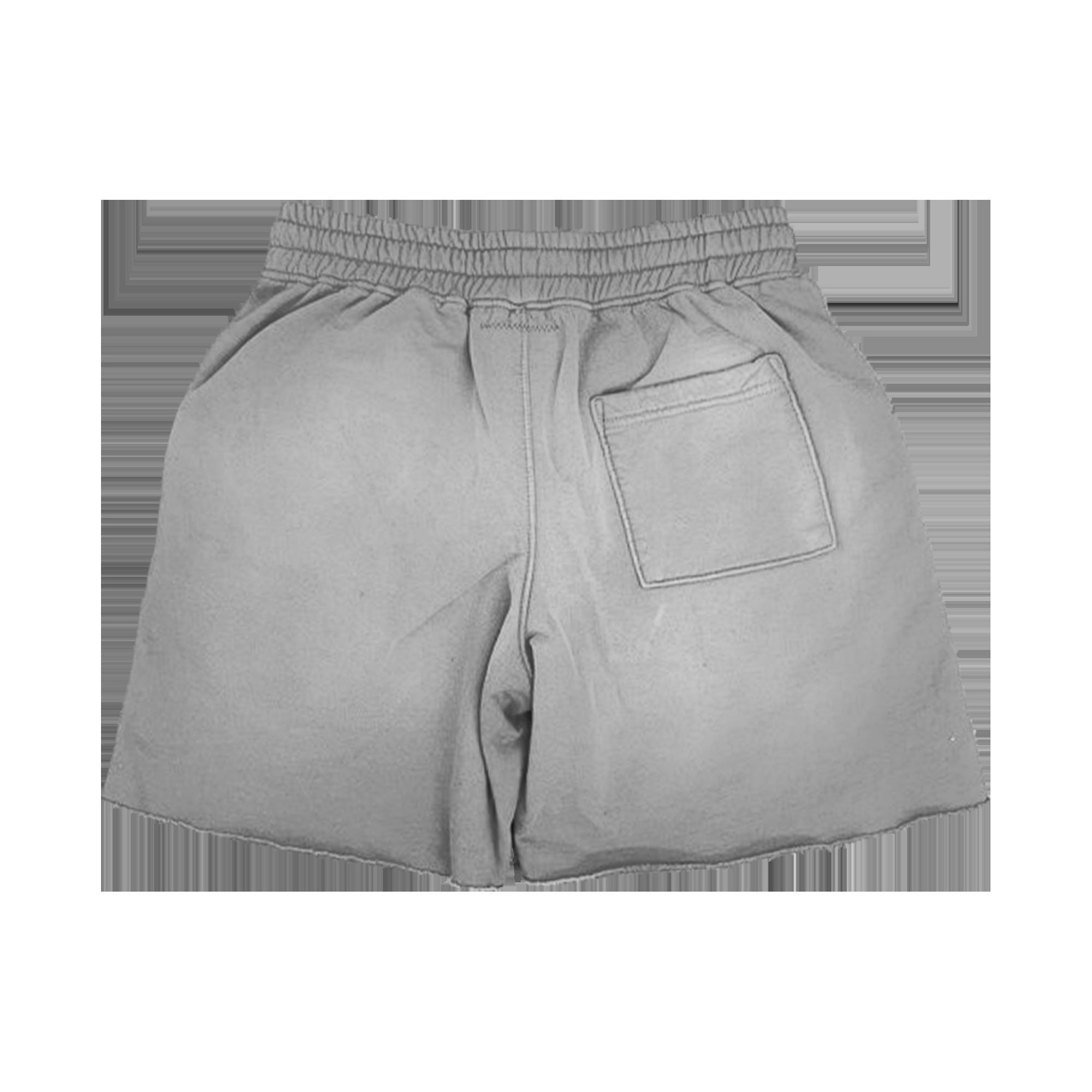 Blank Washed Shorts Mock-ups Bundle - Etsy