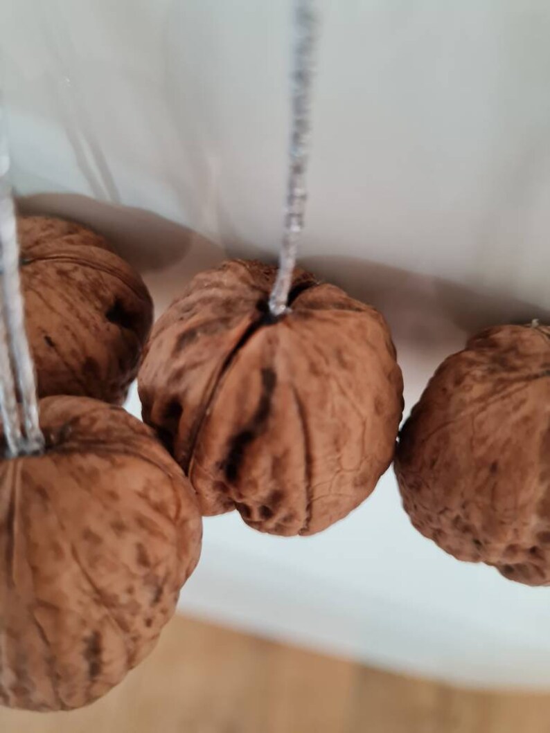 Whole Walnuts With Silver Thread String Christmas Tree Christmas ...