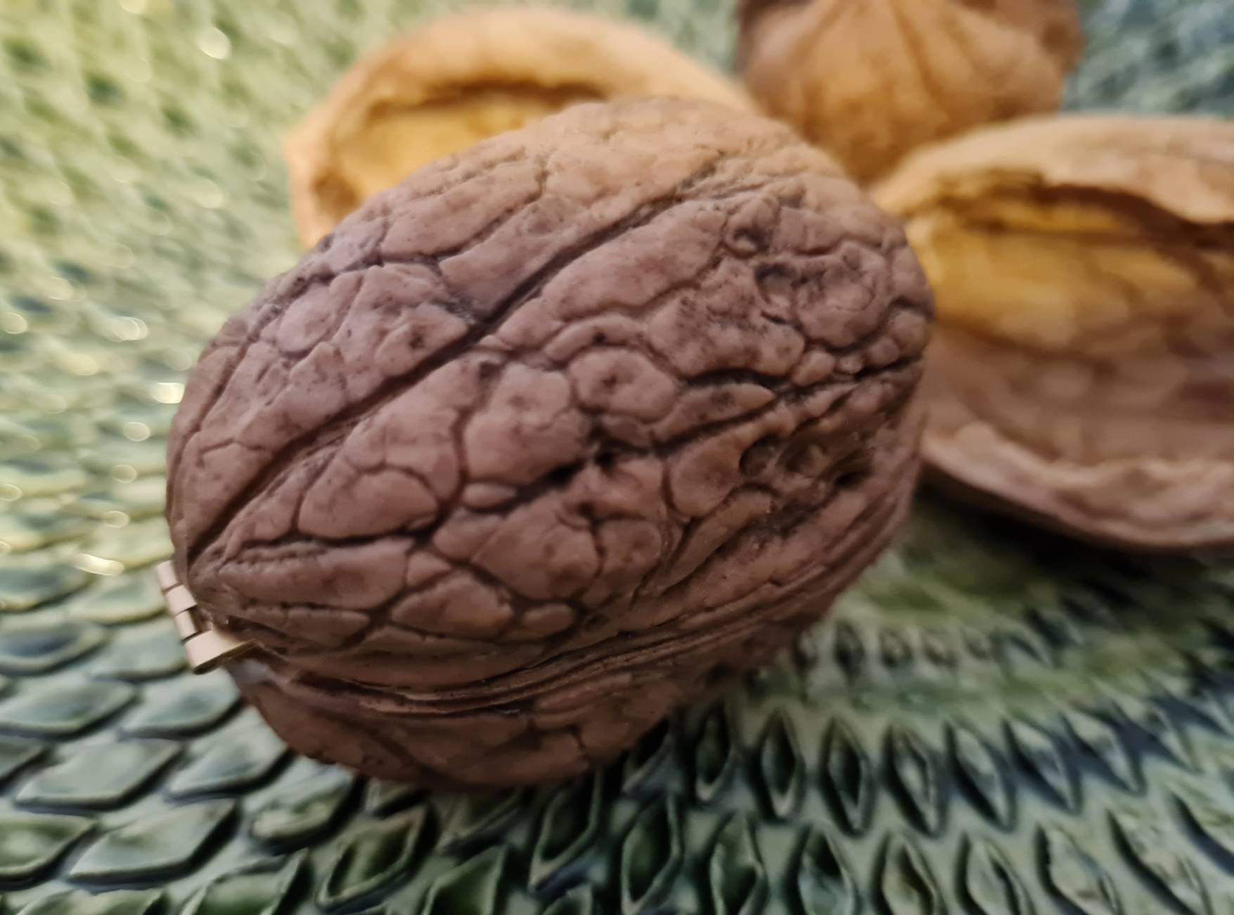 Large Walnut Box Hinged Box Walnut Halves Walnut Craft Gift Message ...