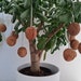 Whole Walnuts With Silver Thread String Christmas Tree Christmas ...