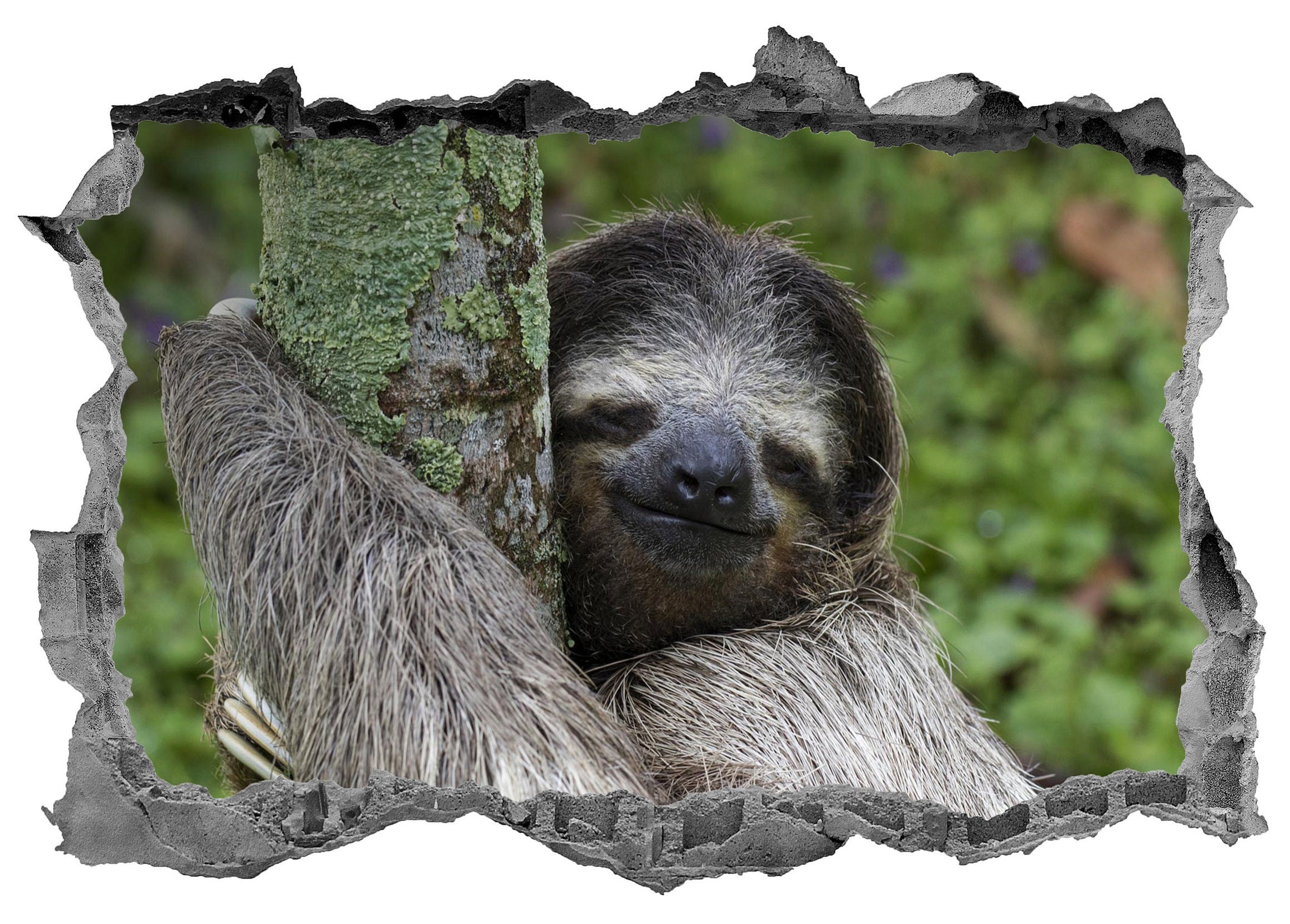 Sloth Wall Art Decals Stickers Animals Nursery Bedroom Decor Home Print ...