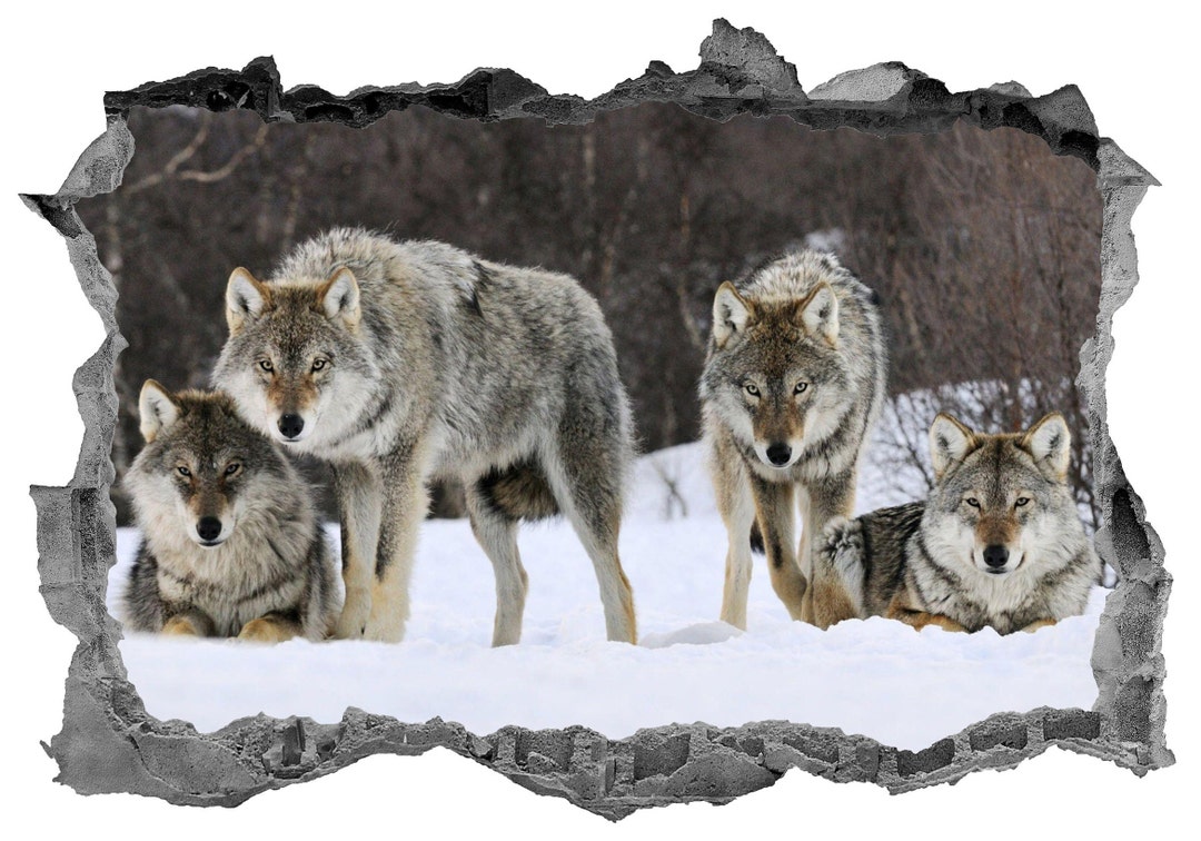 Wolf Pack Wolves Wolf Wall Art Decals Stickers Decor Animals Nursery ...