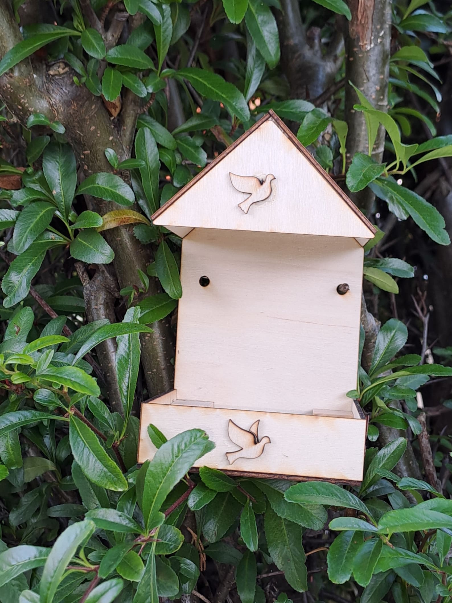 DIY Wooden Bird Feeding Box - Build Your Own Kit - Balsa Wood - No ...