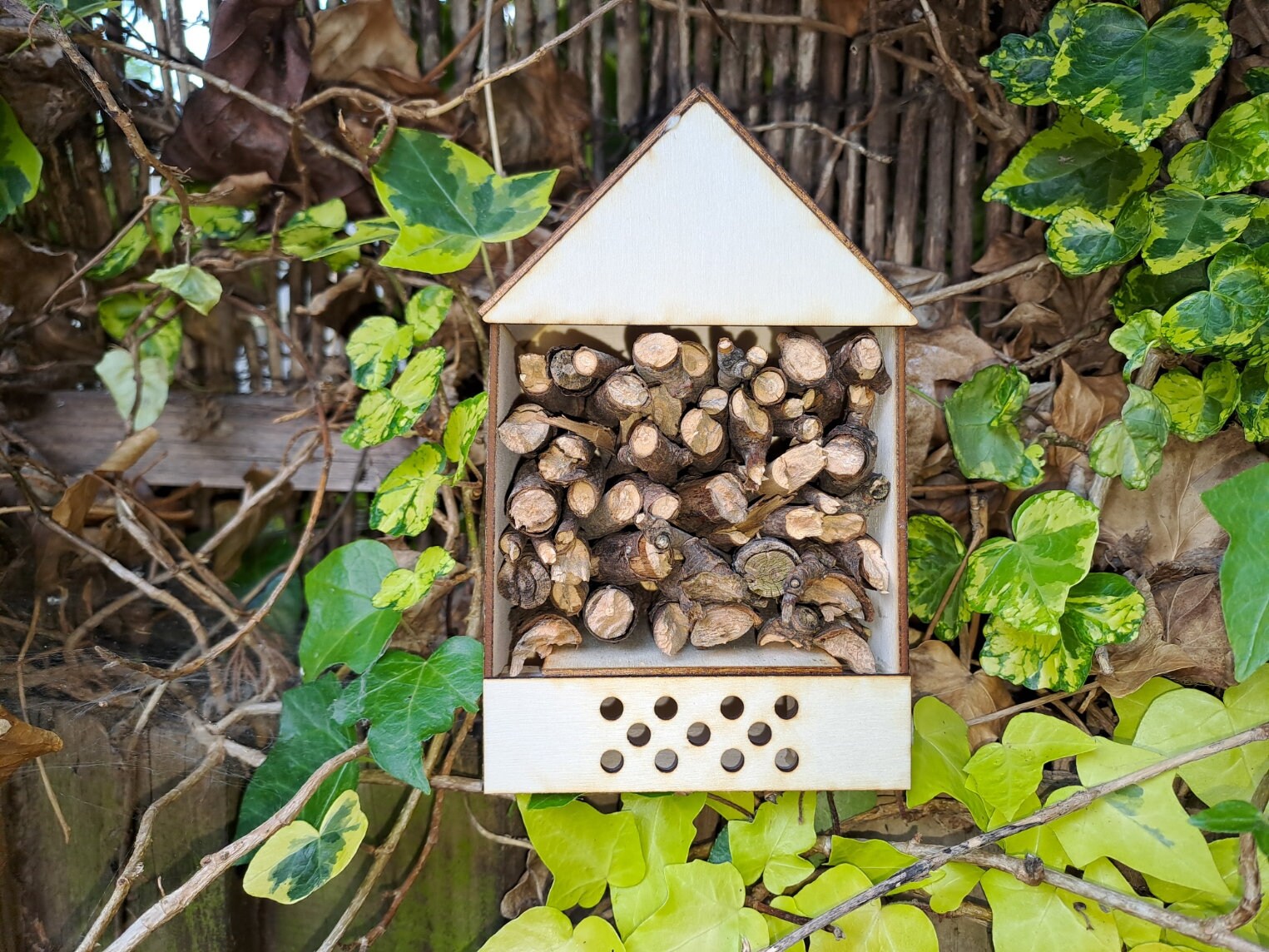 DIY Wooden Bug House / Hotel - Build Your Own Kit - Balsa Wood - No ...