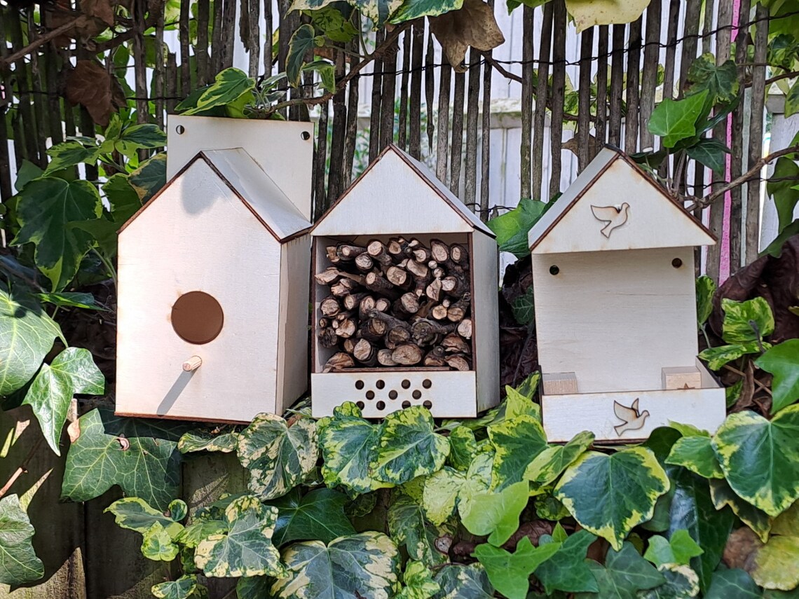 DIY Wooden Bird Feeding Box - Build Your Own Kit - Balsa Wood - No ...