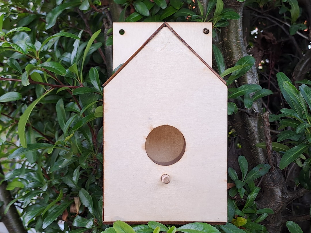 DIY Wooden Bird Nesting Box - Build Your Own Kit - Balsa Wood - No ...
