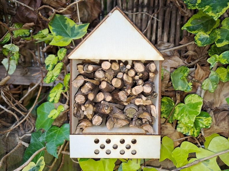 DIY Wooden Bug House / Hotel - Build Your Own Kit - Balsa Wood - No ...