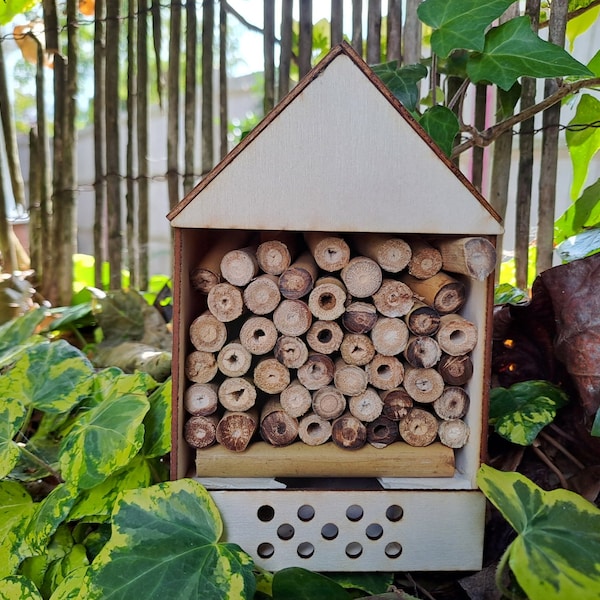 Wood Build Bug House - Etsy