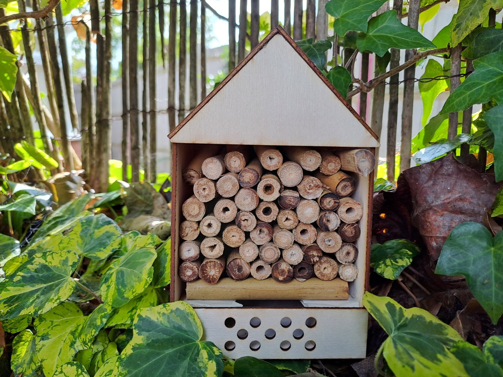 DIY Wooden Bug House / Hotel - Build Your Own Kit - Balsa Wood - No ...