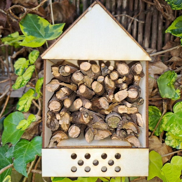 Bug House - Etsy