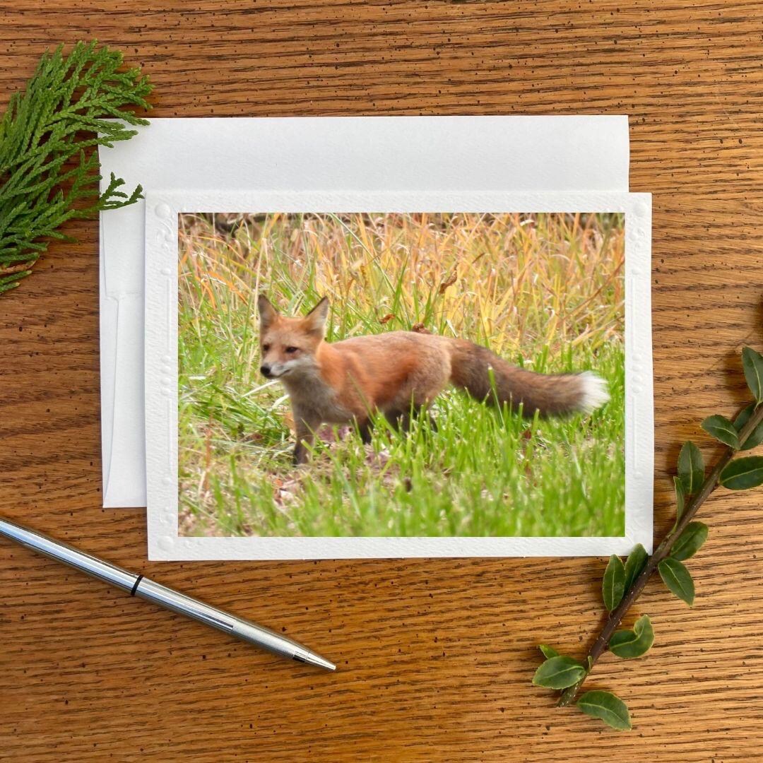 4x6 Photo Notecard - Etsy