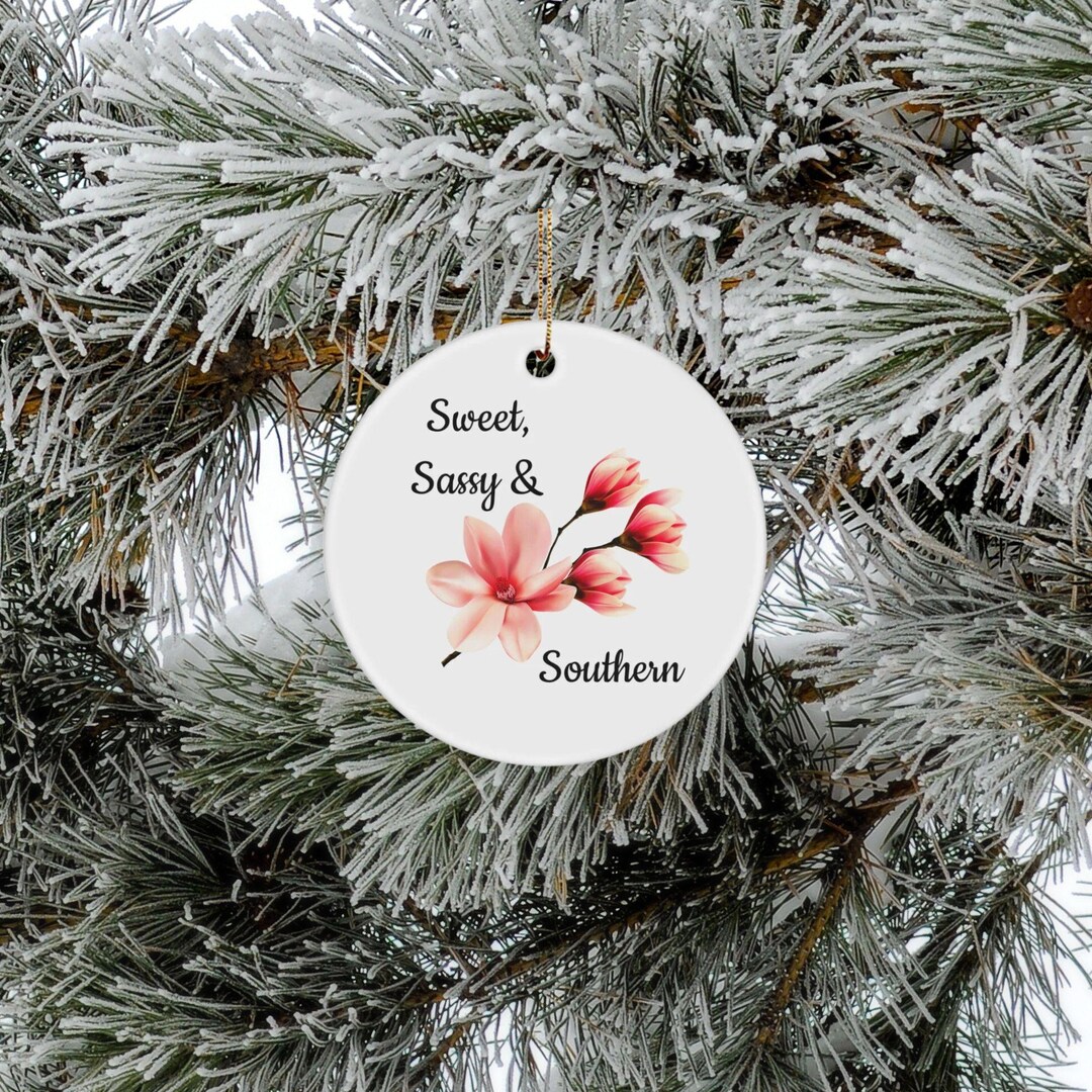 Sweet Sassy and Southern, Women Southern Attitude, Southern Woman ...