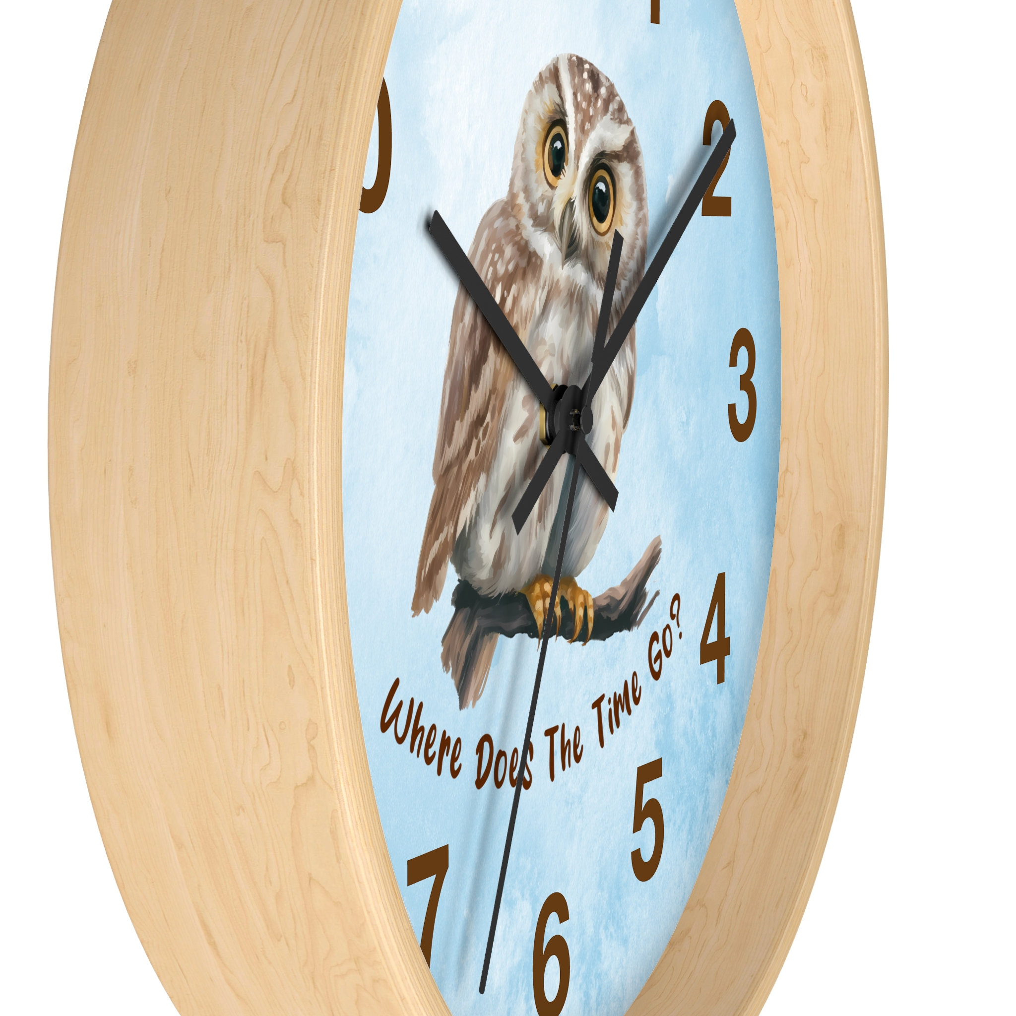 Where Does the Time Go? Owl 10" Wall Clock,fun Country Owl Round Wall ...