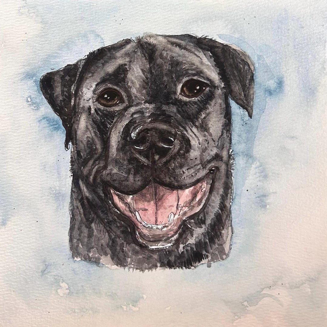 Custom Hand Painted Pet Portrait Custom Pet Portrait Custom Pet ...