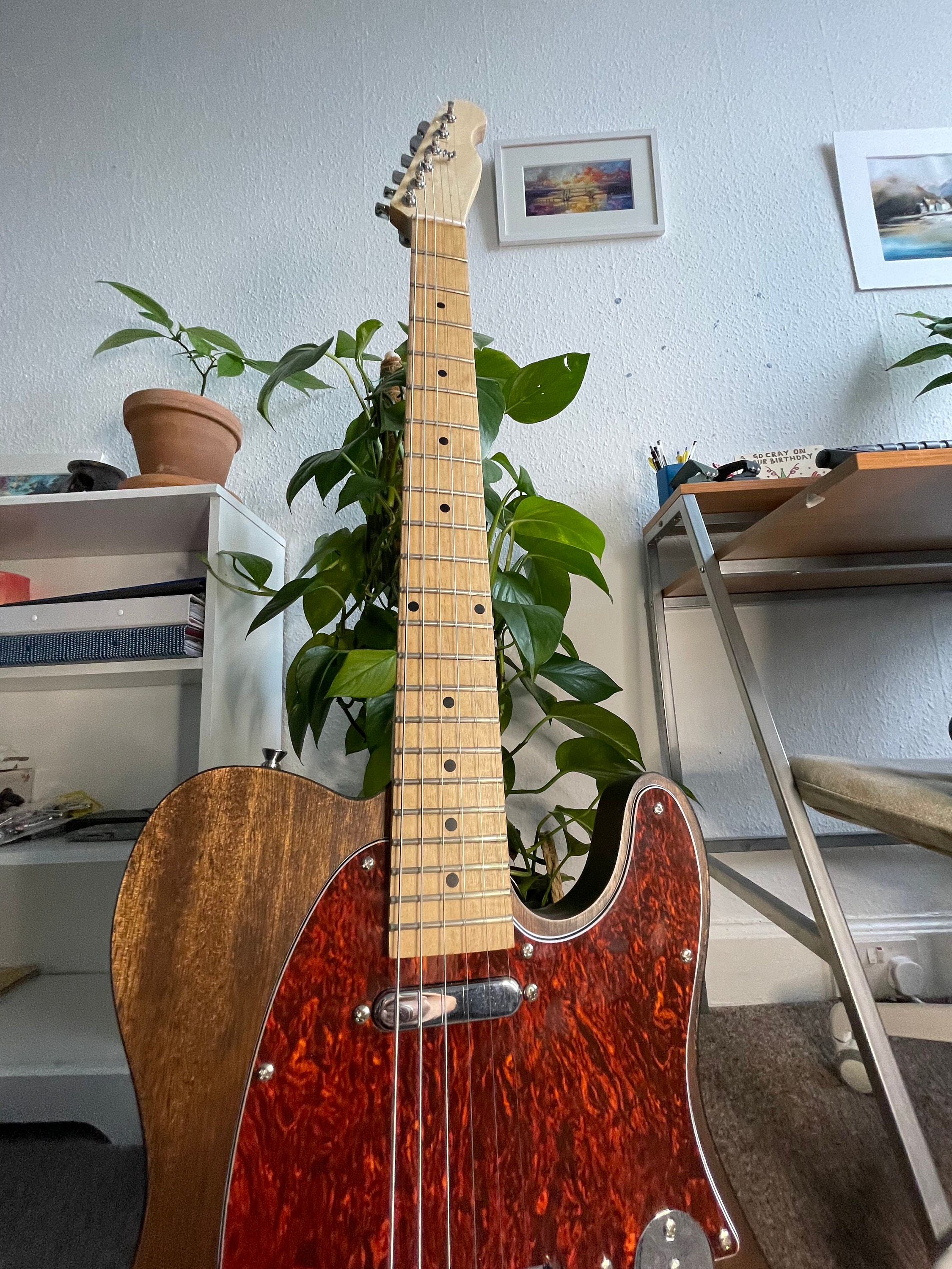 Custom Electric Guitar Telecaster - Etsy