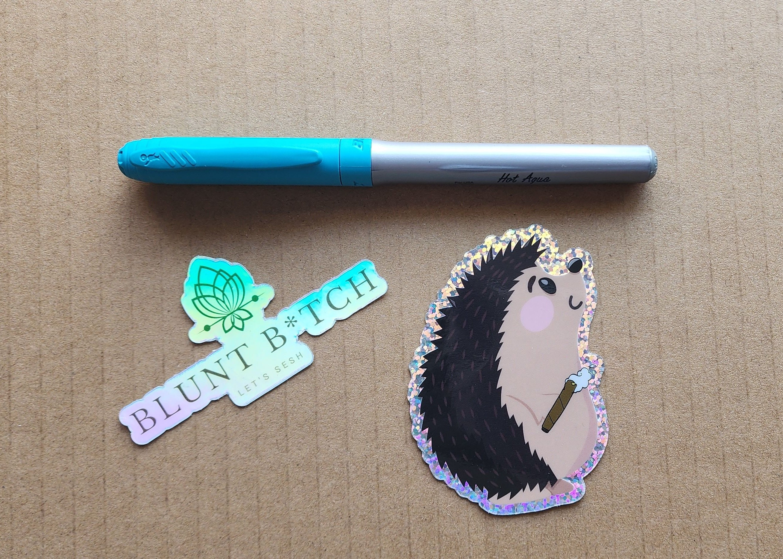 Holographic STICKER Cool Stickers Zaza Stickers Gifts for Her Funny ...