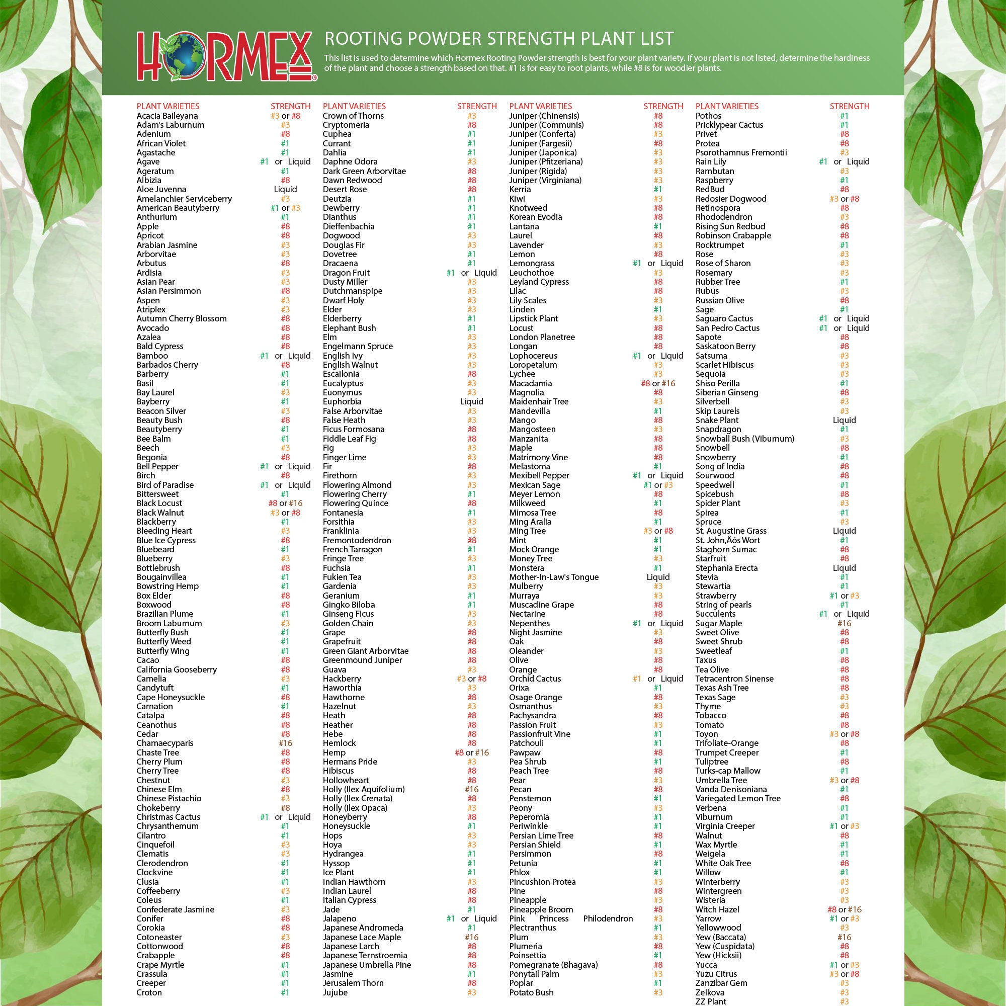 Hormex Rooting Powder #8 (0.80 IBA) - Rooting Hormone for Semi-hardwood ...