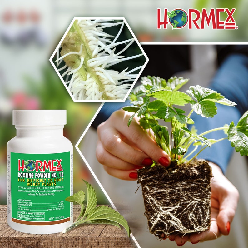 Hormex Rooting Powder 16 Rooting Hormone for Plant Cuttings for Hard to ...