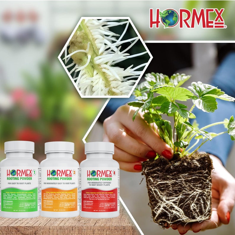 Hormex Rooting Hormone for Cuttings Pack #1,3,8 - Rooting Powder for ...