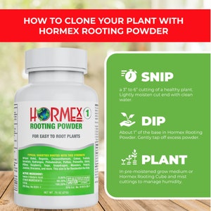 Hormex Rooting Hormone for Cuttings #1 - Rooting Powder for Softwood ...