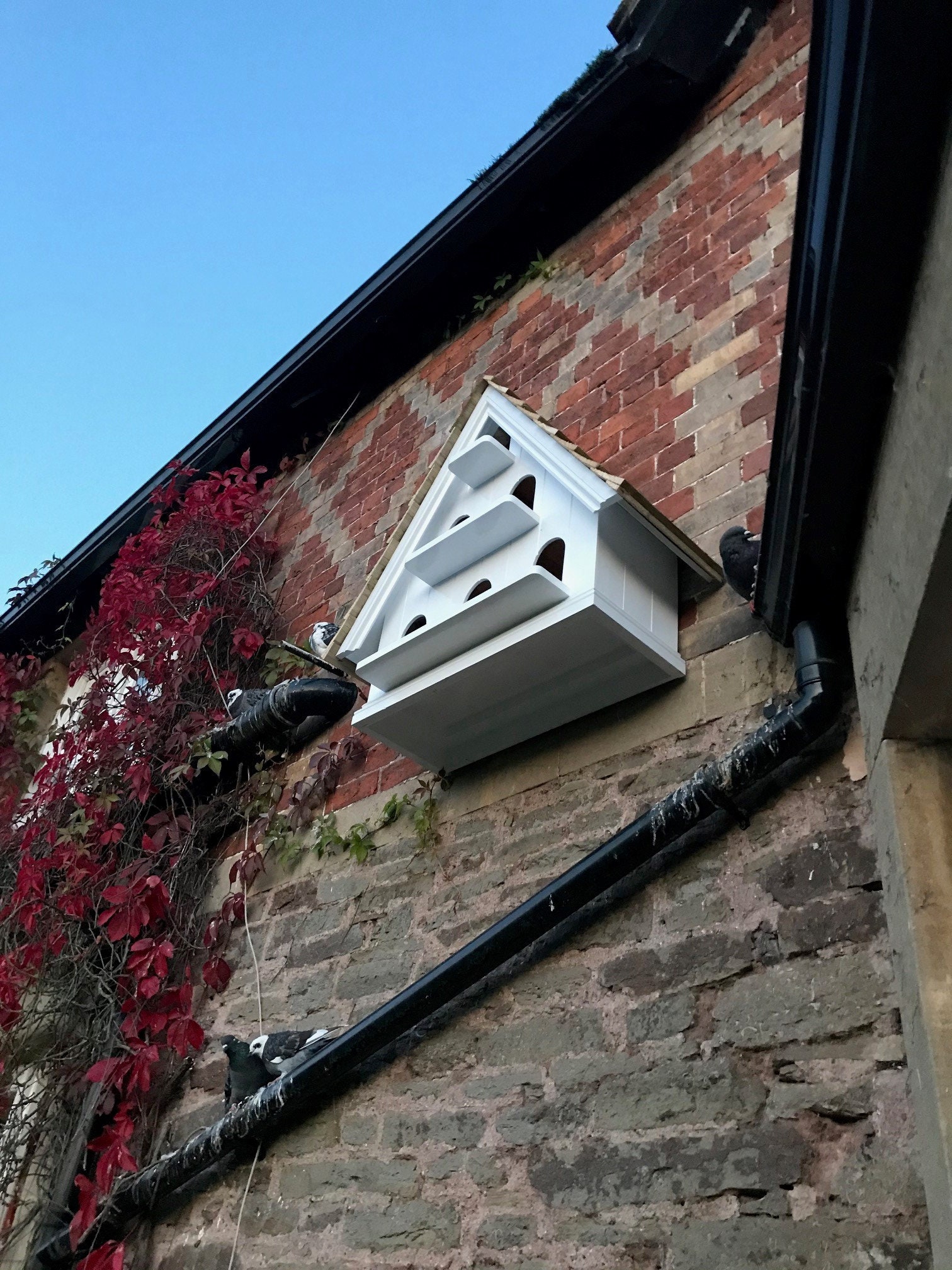 Large Wall Mounted Dovecote for 6 Pairs of Doves - Etsy UK