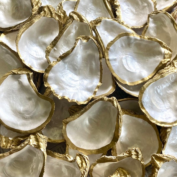 Oyster Shells Bulk - Etsy