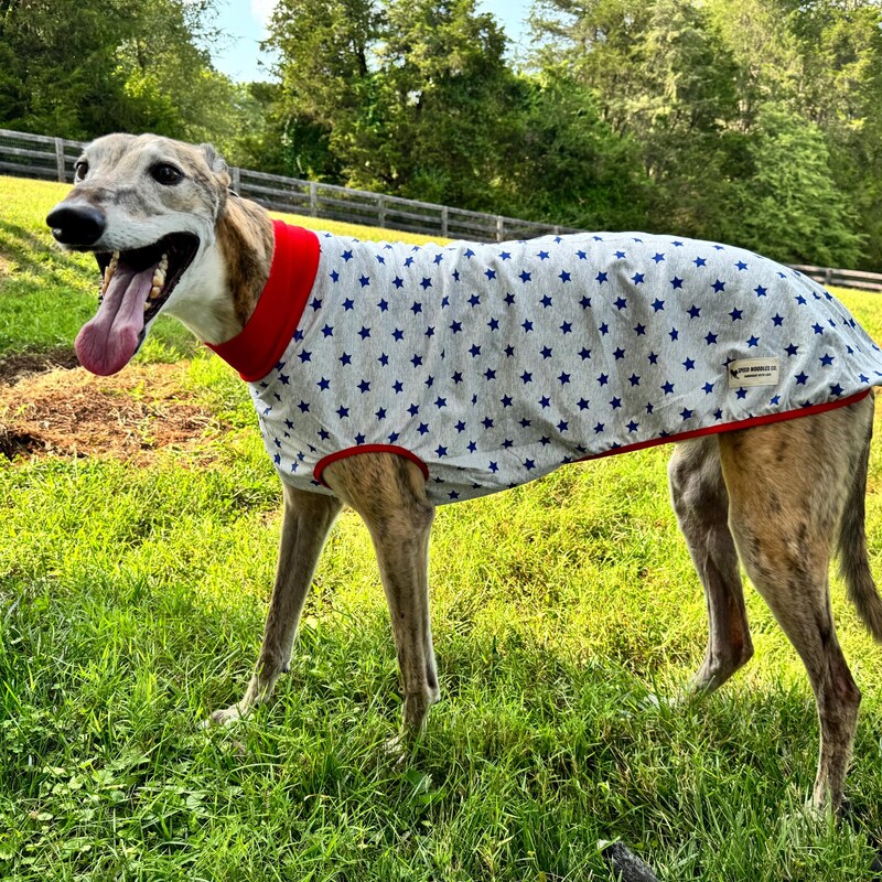 Greyhound Shirt - Etsy
