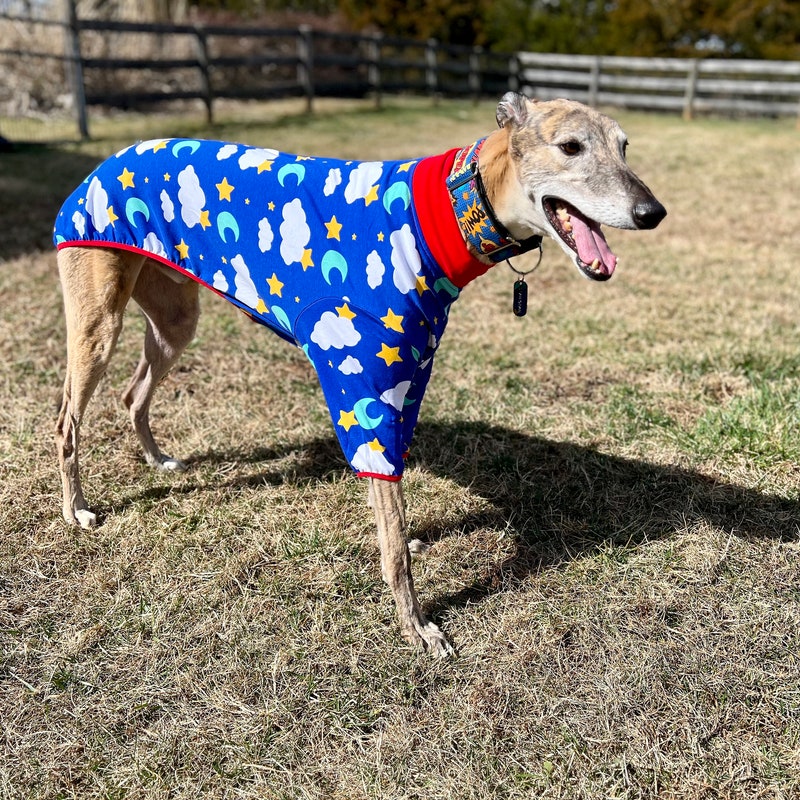 Pyjamas Italian Greyhound - Etsy