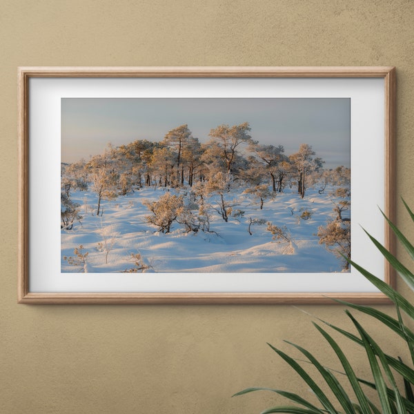 Old Metal Strings Wired Together - Etsy