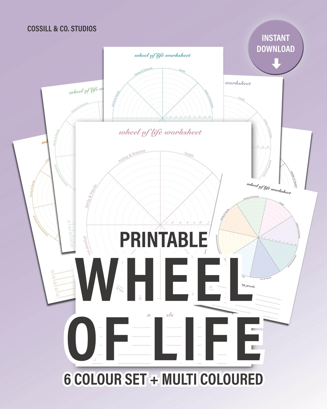 Printable Wheel of Life Self-reflection & Goal-setting Tool 6 Colours ...