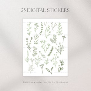 Plant Digital Stickers, Boho Nature Stickers for Digital Planner, PNG ...