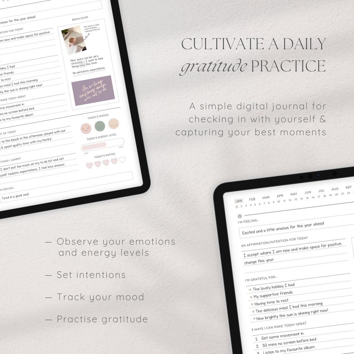 Digital Gratitude Journal, Daily Gratitude Journal, Gratitude Journal ...