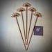 Flare Head Twisted Copper Stakes, Electroculture, 12ga Pure Solid Metal ...